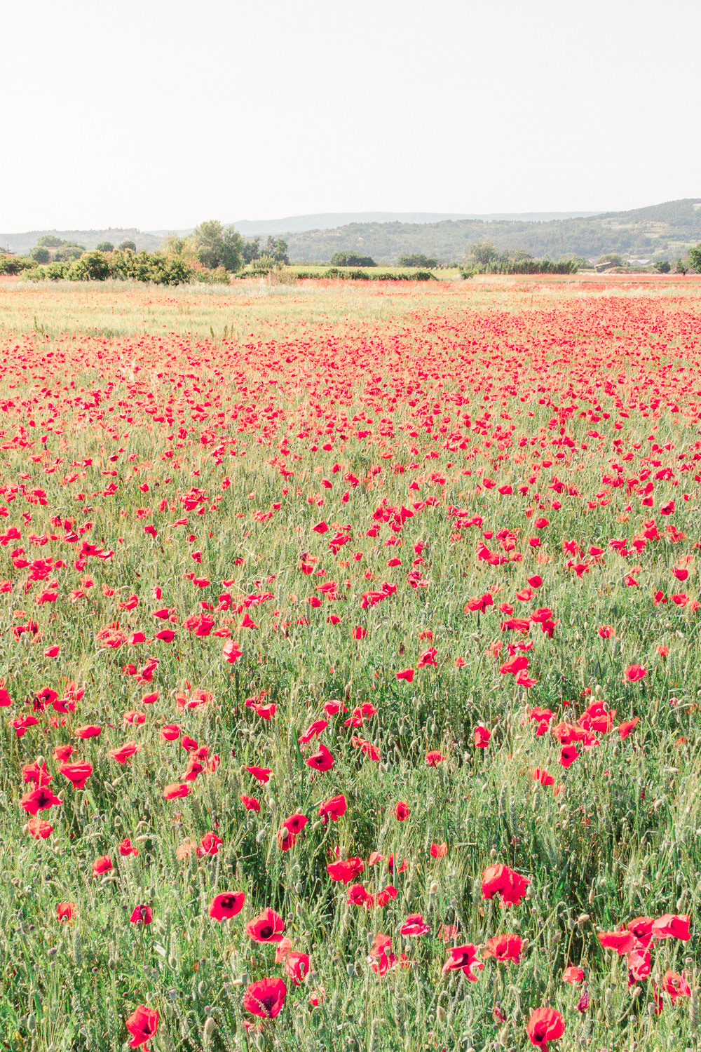 Travel tips for visiting Provence in the South of France in the Spring