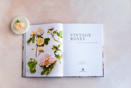 The Best & Most Beautiful Books About Flowers!
