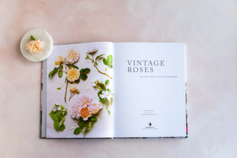 The Best & Most Beautiful Books About Flowers!